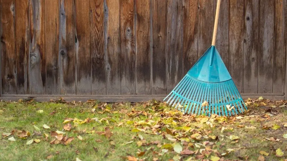 Surviving the Winter: 5 Tips to Get Your Landscape Through the Cold ...