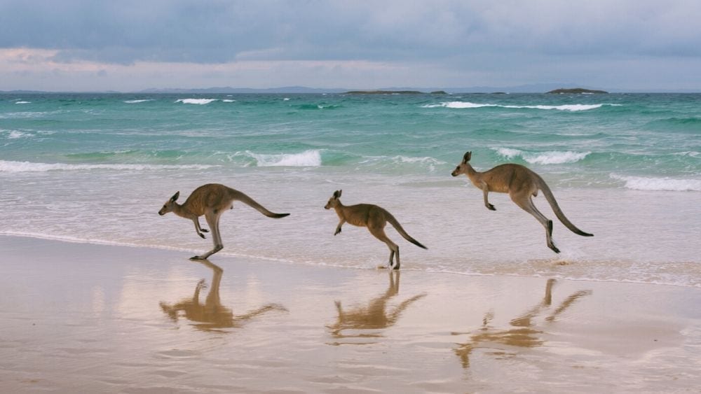 4 New Home Features That Any Busy Family Can Appreciate - NewHomeSource.com