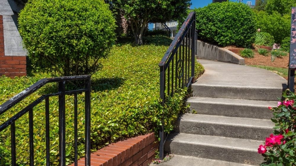 5 Ways to Maximize Yard Space and Minimize Mowing - NewHomeSource.com