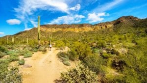 How to Design a New Home for a Hot Climate - NewHomeSource