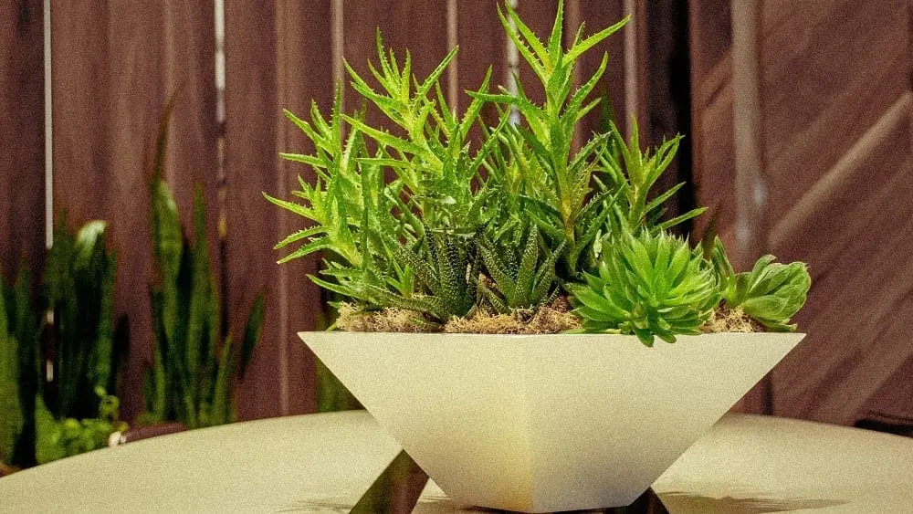 Faux Yeah! Simple Ways to Make Your Artificial Plants Look Real ...