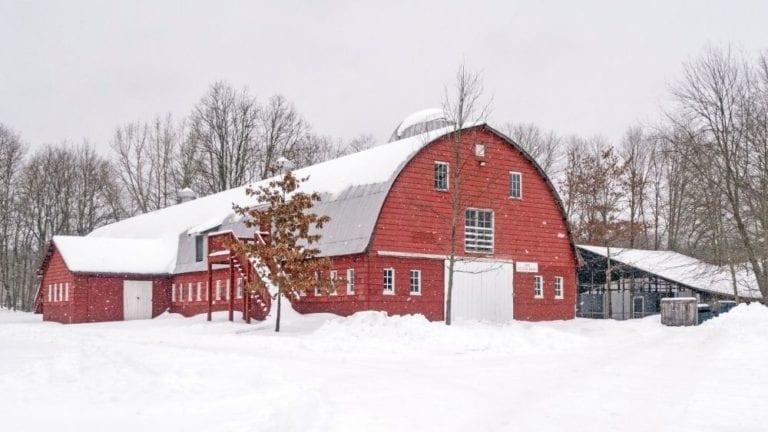 7 Unique Roof Designs to Transform Your Home - NewHomeSource