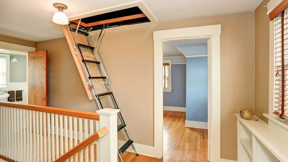 Everything to Know About Attics - NewHomeSource