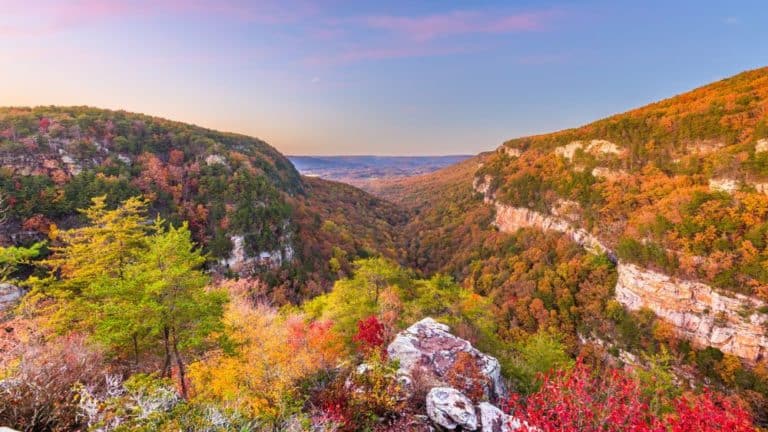 10 Best State Parks in Georgia - NewHomeSource