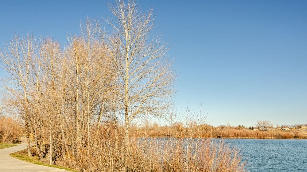 10 Best State Parks in Montana - NewHomeSource