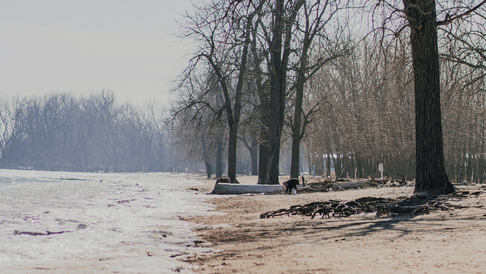 Best State Parks in Michigan - NewHomeSource