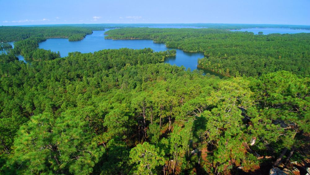 The Top 10 State Parks in Alabama - NewHomeSource