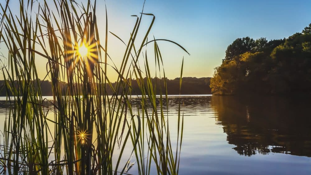 10 Best State Parks in New York - NewHomeSource