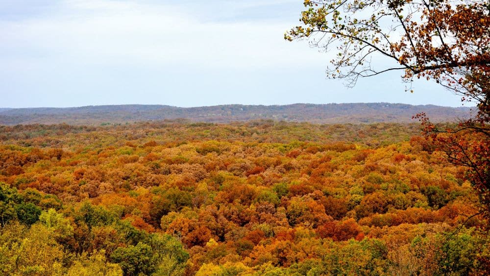 10 Best State Parks in Indiana - NewHomeSource