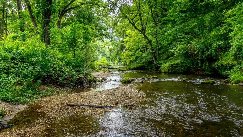 The 10 Best State Parks in Iowa - NewHomeSource.com