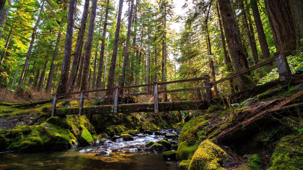Top 10 State Parks in Washington - NewHomeSource