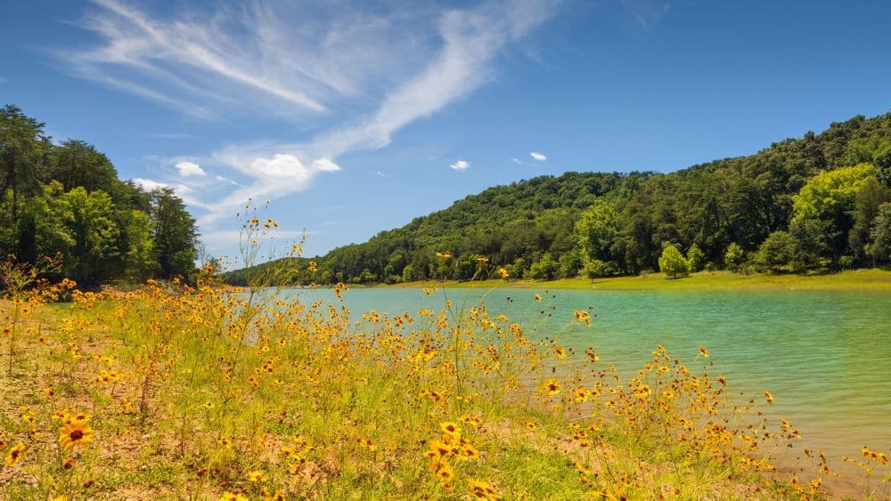 10 Best State Parks in Tennessee - NewHomeSource.com