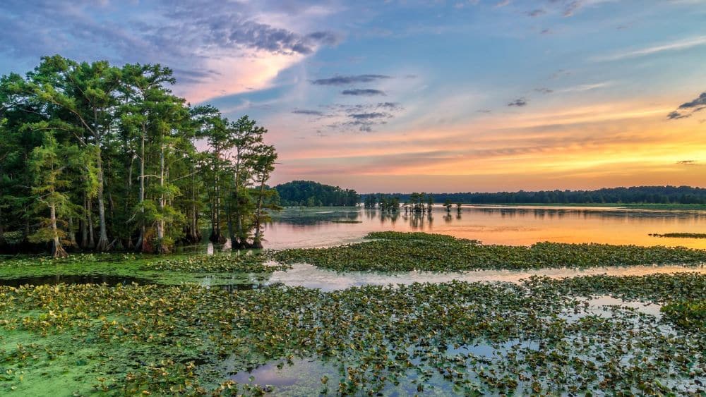 10 Best State Parks in Tennessee - NewHomeSource