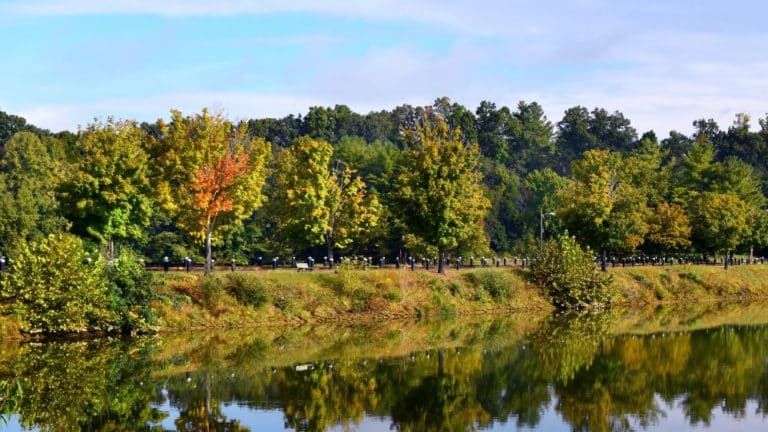 10 Best State Parks in Tennessee - NewHomeSource