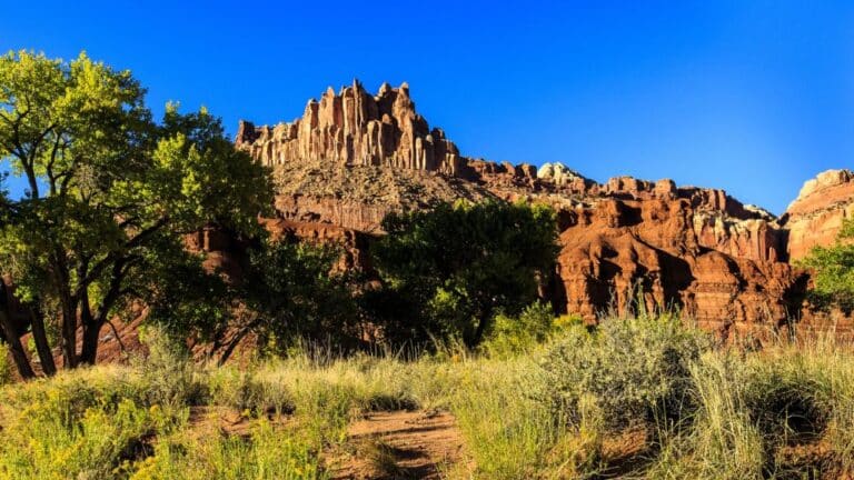 10 Best State Parks in Utah - NewHomeSource