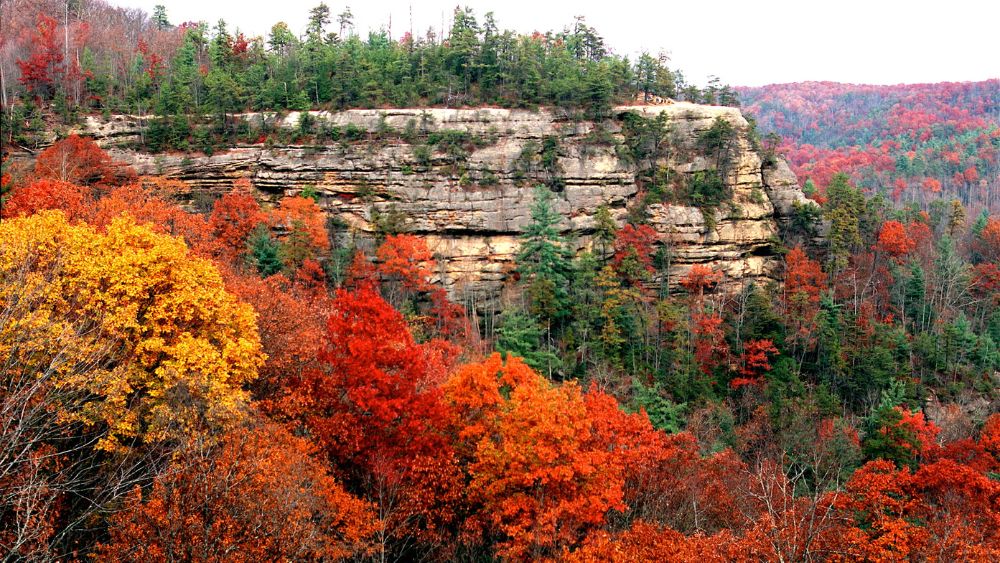 10 Best State Parks in Kentucky - NewHomeSource.com