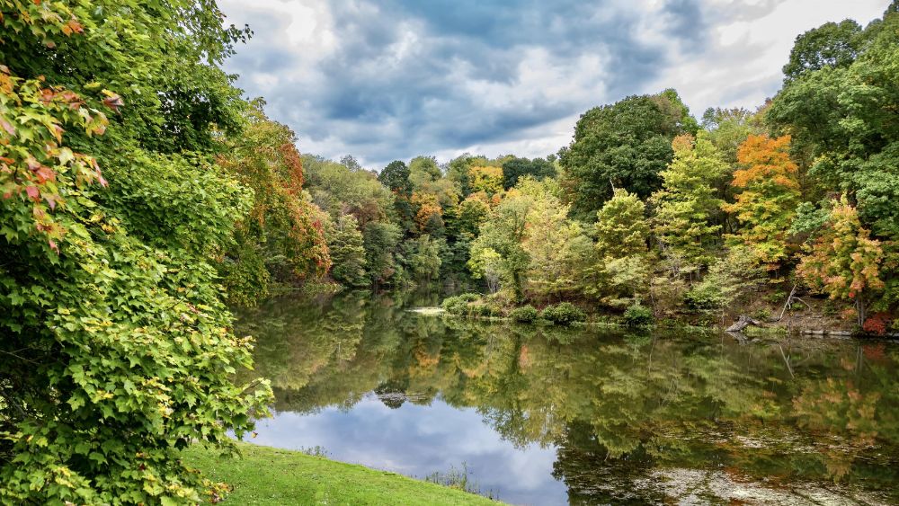 10 Best State Parks in West Virginia - NewHomeSource