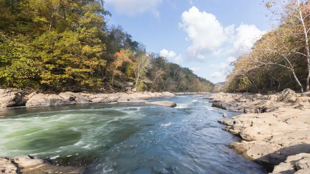 10 Best State Parks in West Virginia - NewHomeSource