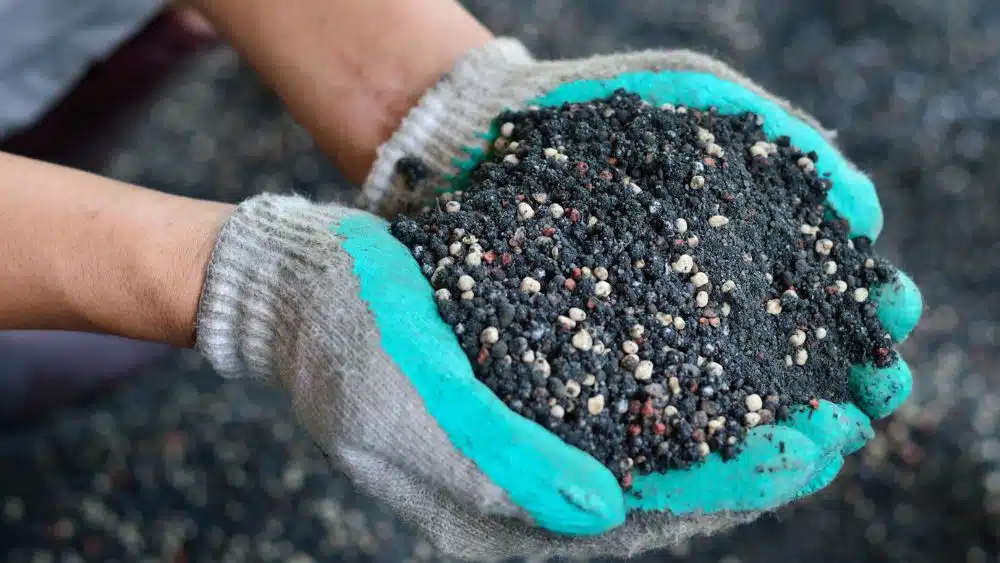 Choosing the Best Fertilizer for your Garden - NewHomeSource
