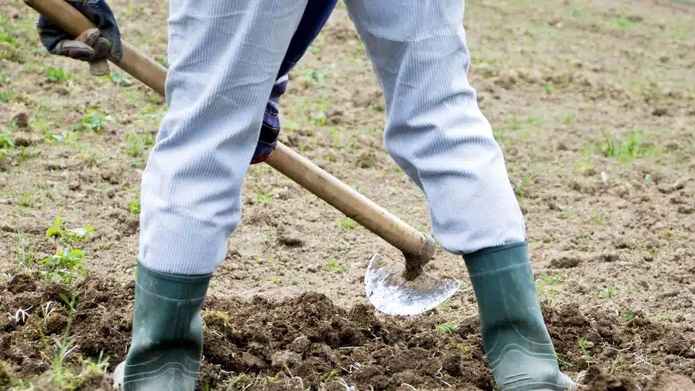 13 Essential Gardening Tools for Beginners - NewHomeSource.com