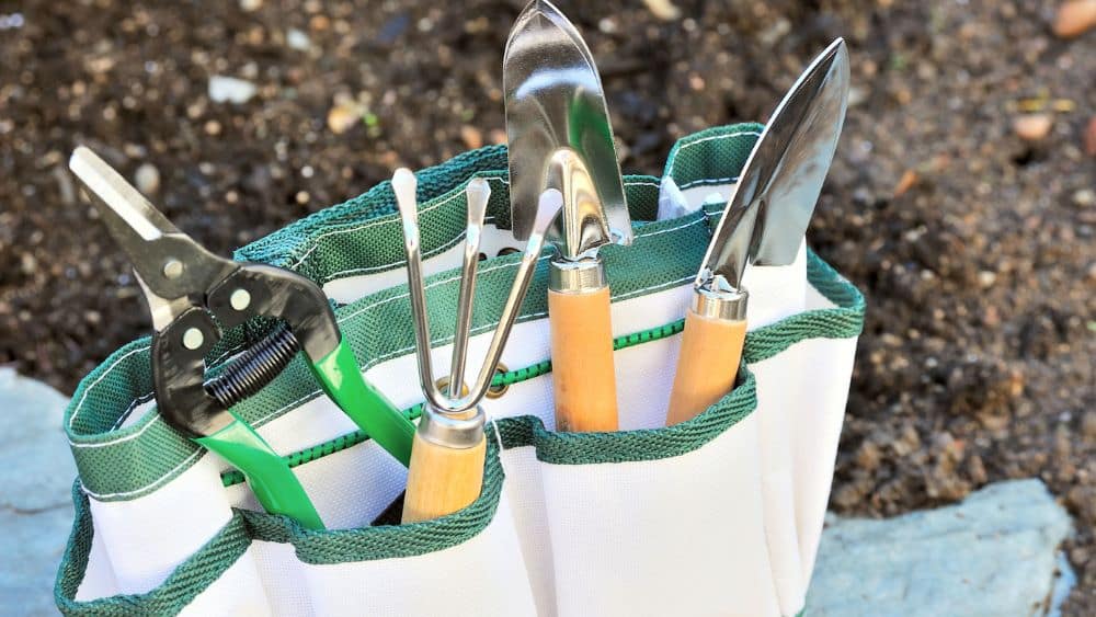 13 Essential Gardening Tools for Beginners - NewHomeSource.com