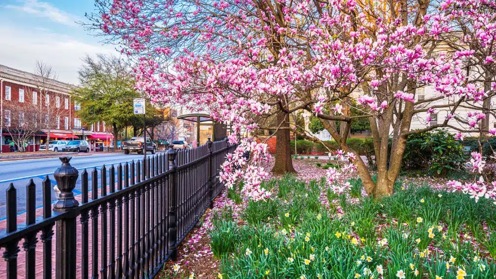 Your complete guide to moving to Athens, GA - NewHomeSource.com