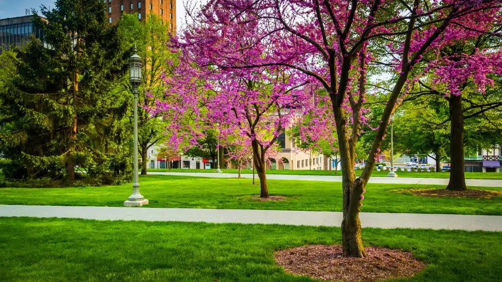 Best Suburbs Surrounding Harrisburg, Pennsylvania - NewHomeSource.com