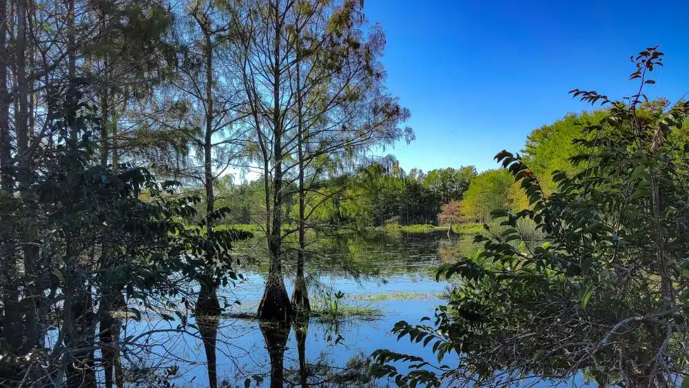 The 10 Best Suburbs Near Baton Rouge - NewHomeSource.com